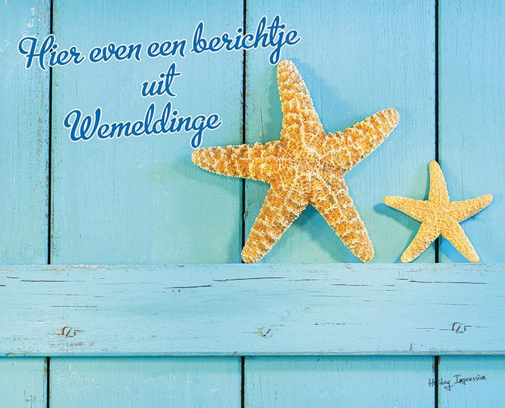 Hc Wemeldinge Zeester - Van der Meulen Souvenirs en kaarten