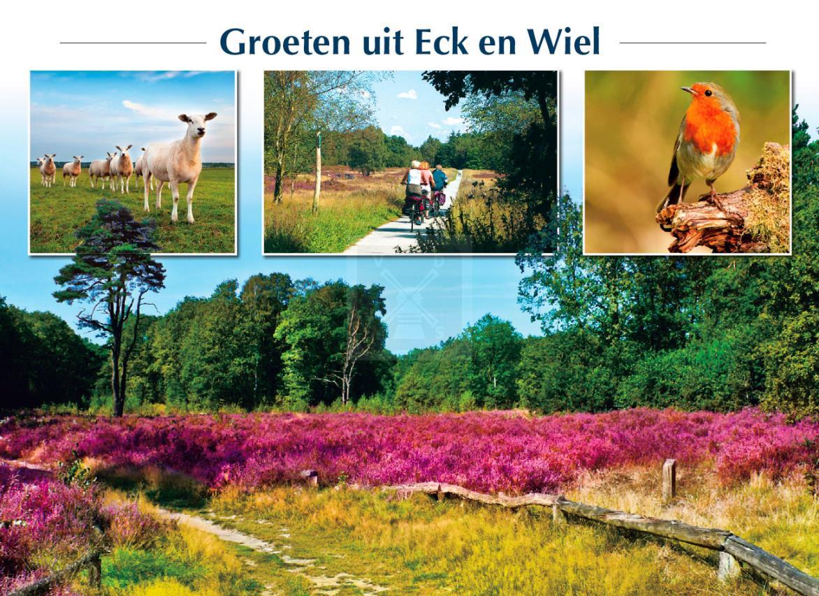 ECK EN WIEL Archives - Van der Meulen Souvenirs en kaarten